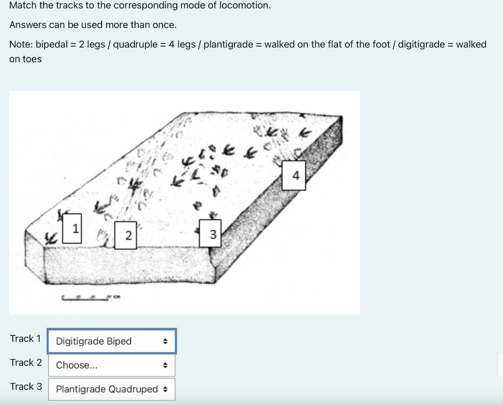 Solved Match the tracks to the corresponding mode of | Chegg.com