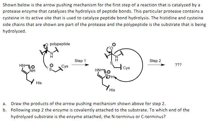 Solved Shown below is the arrow pushing mechanism for the | Chegg.com