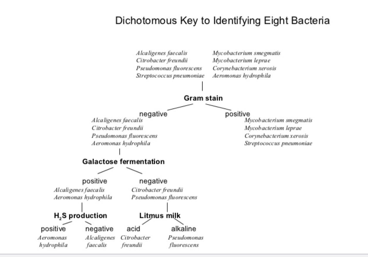 . Using the biochemical test chart provided, | Chegg.com