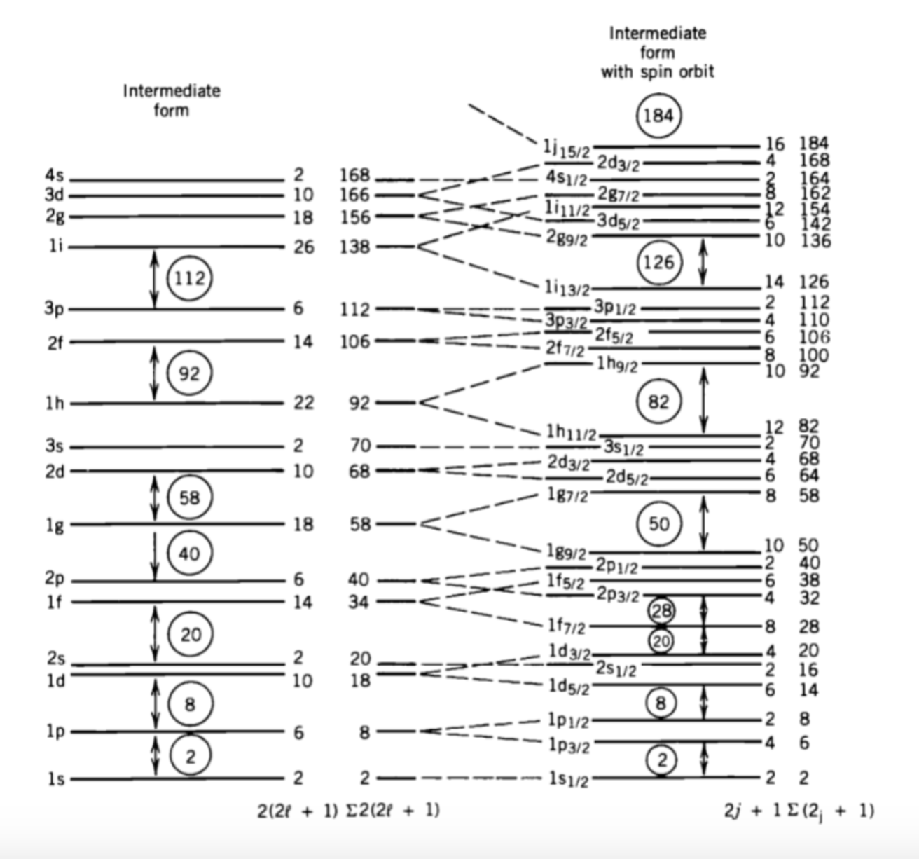 Solved 4.2 b[5pts] Draw a shell diagram for the protons and | Chegg.com
