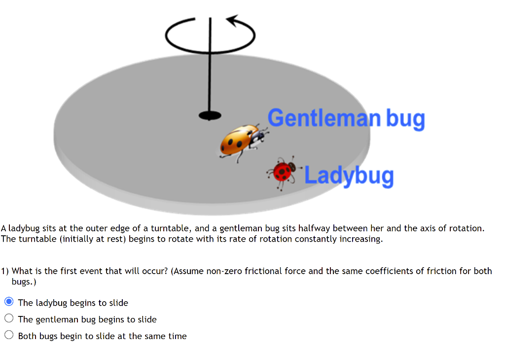 Solved Gentleman bug "Ladybug axis rotation. A ladybug sits | Chegg.com