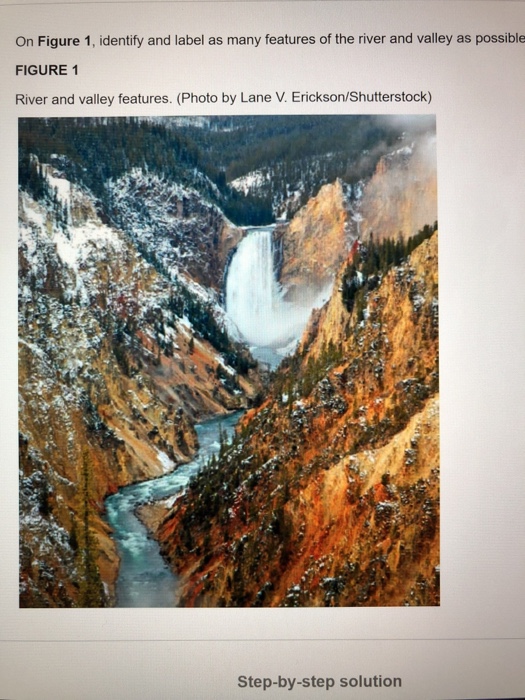 Solved On Figure 1, identify and label as many features of | Chegg.com