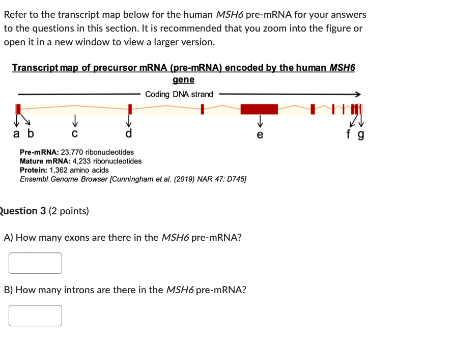 Solved Refer to the transcript map below for the human MSH6 | Chegg.com