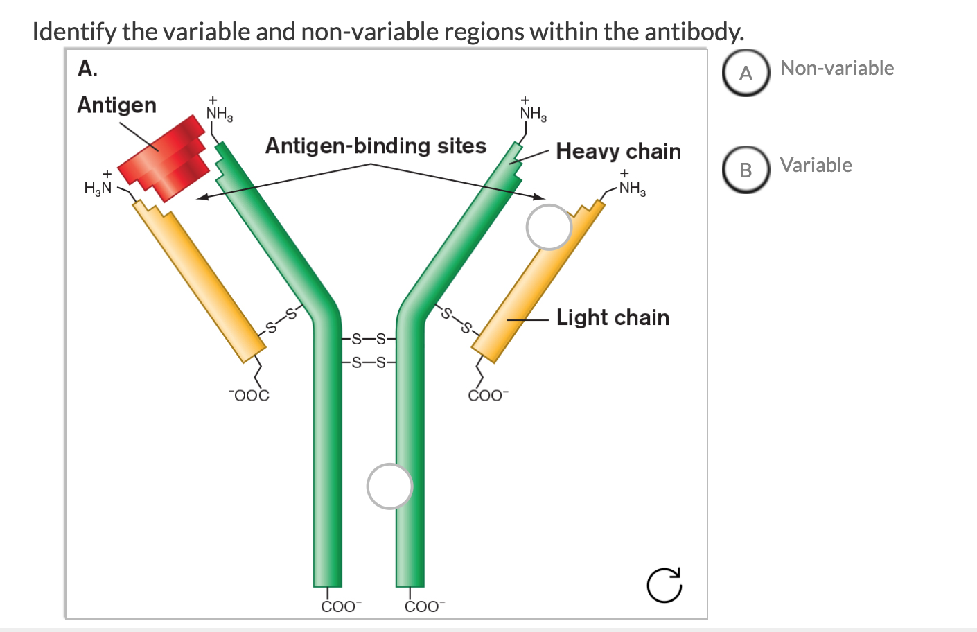 Solved Compare The Classical Complement Pathway To The 1751
