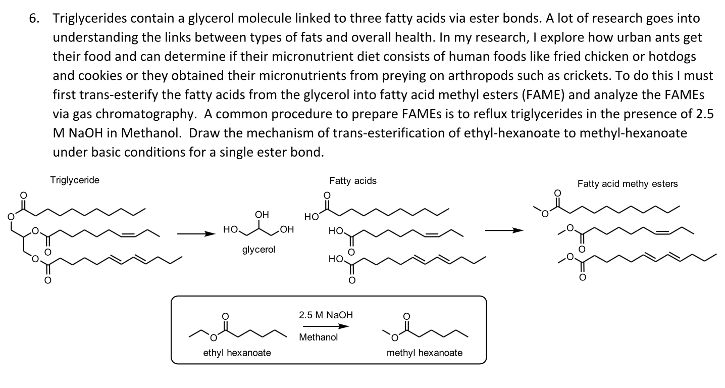 Solved 6. Triglycerides contain a glycerol molecule linked | Chegg.com