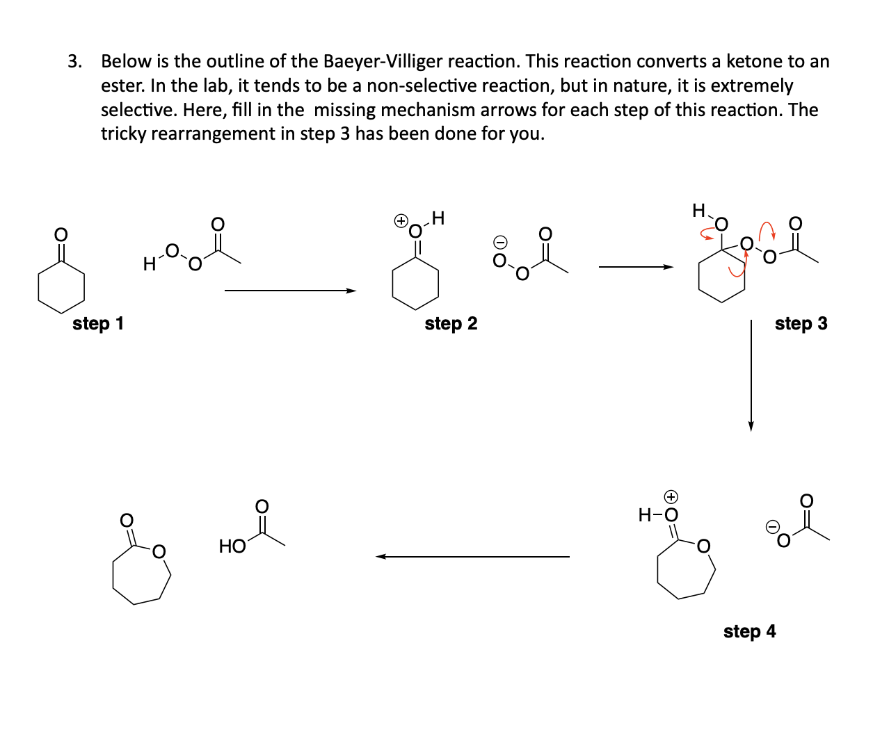Solved 3. Below is the outline of the Baeyer-Villiger | Chegg.com