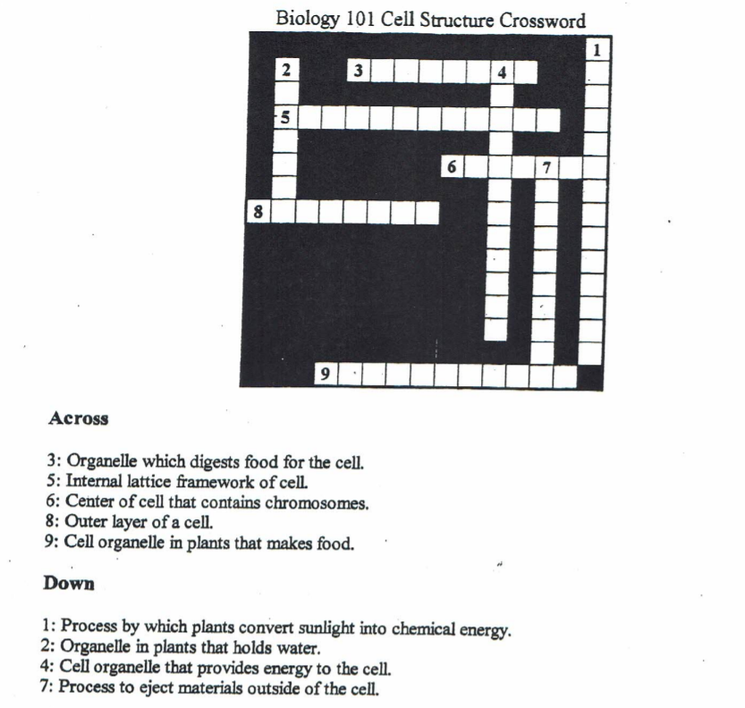 Solved Biology 101 Cell Structure Crossword 1 2 3 4 5 6 7 8 | Chegg.com