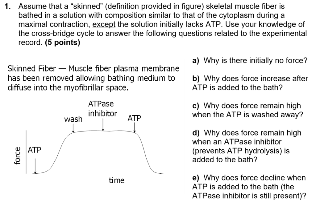 Solved 1. Assume that a "skinned" (definition provided in | Chegg.com