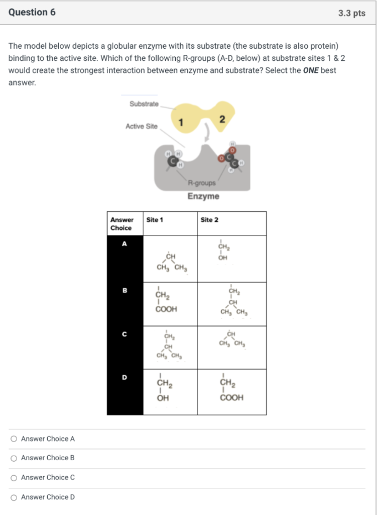 Solved Question 6 3.3 pts The model below depicts a globular | Chegg.com
