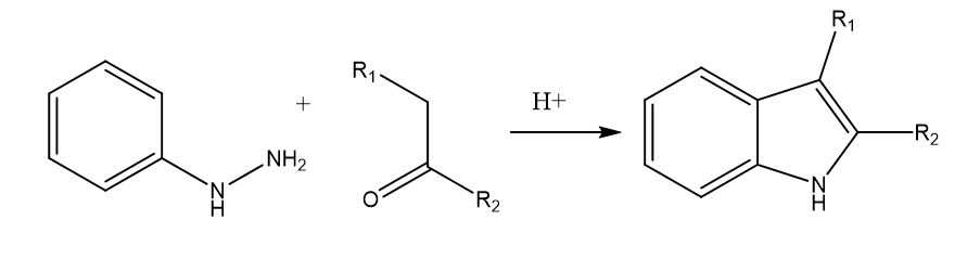 Solved R1 R1 + H+ -R2 NH2 'R2 IZ | Chegg.com