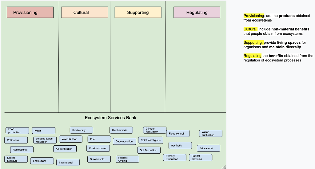 Solved Provisioning Cultural Supporting Regulating | Chegg.com
