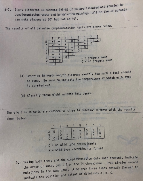 Solved B-6. Six conditional lethal te mutants of phage T4 ( | Chegg.com