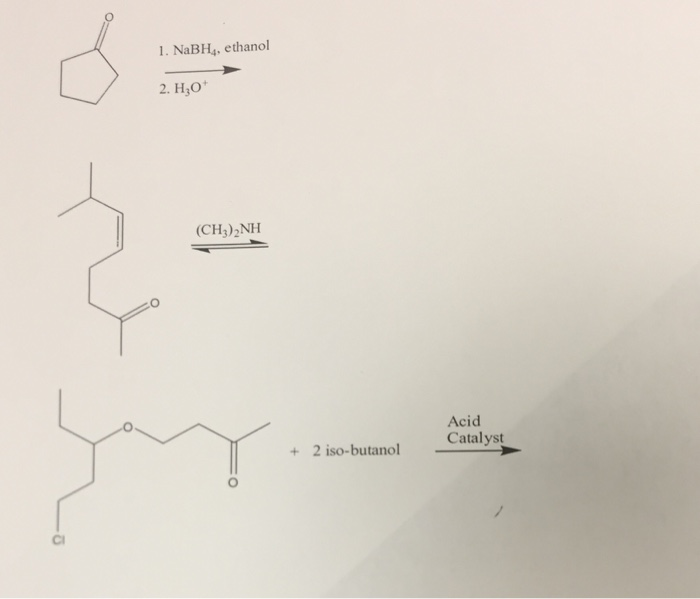 Solved 1. NaBH4, ethanol 2. H30 (CH3)2NH Acid Catalyst + 2 | Chegg.com