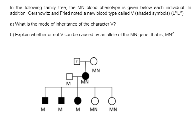 Solved In the following family tree, the MN blood phenotype | Chegg.com