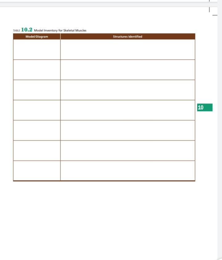 Procedure 1 Model Inventory for the Skeletal Muscles | Chegg.com