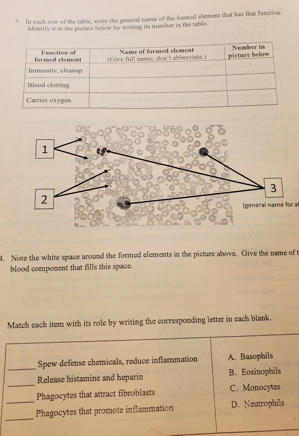 Solved in each row of the table, write the general name of | Chegg.com