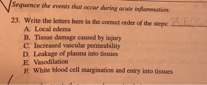 Solved Sequence the events that occur during acute | Chegg.com