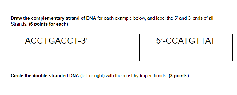 Solved Draw the complementary strand of DNA for each example | Chegg.com