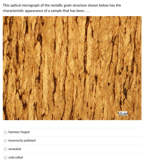 Solved This optical micrograph of the metallic grain | Chegg.com