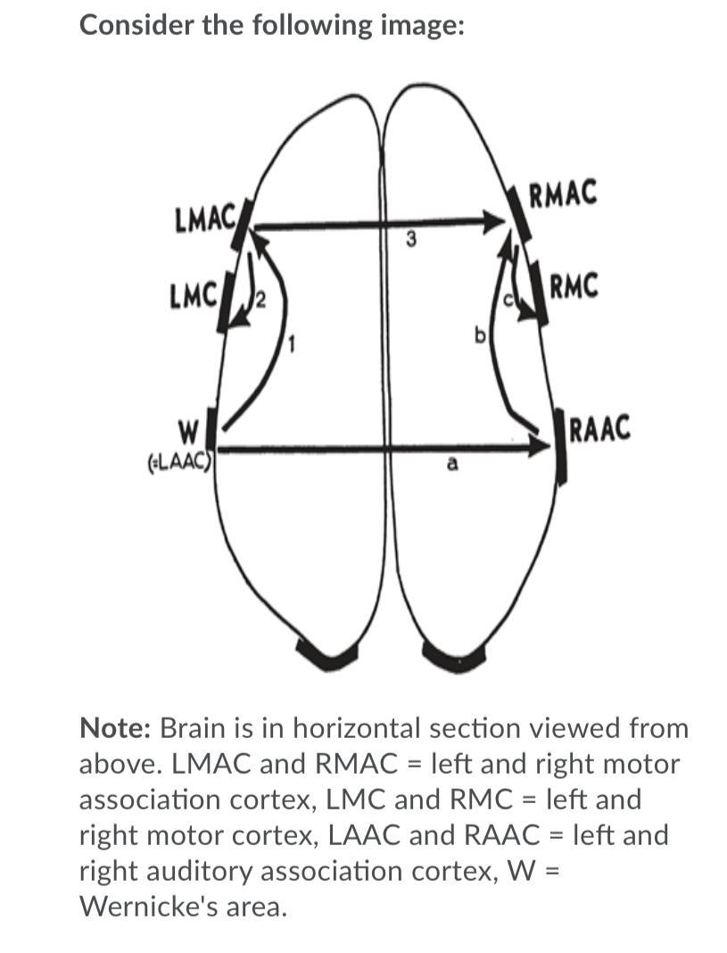 Solved Consider the following image: RMAC LMAC 3 LMC RMC | Chegg.com