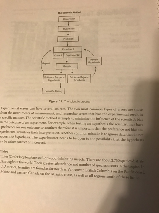 Hypothesis Testing Lab 1 Termites and the Scientific | Chegg.com