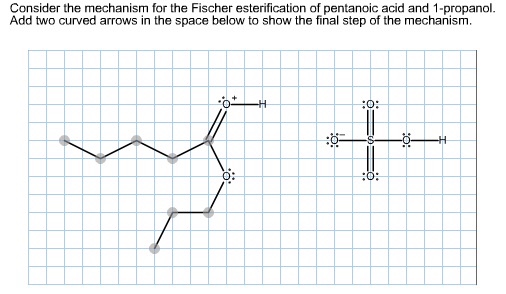 Solved Consider the mechanism for the Fischer esterification | Chegg.com