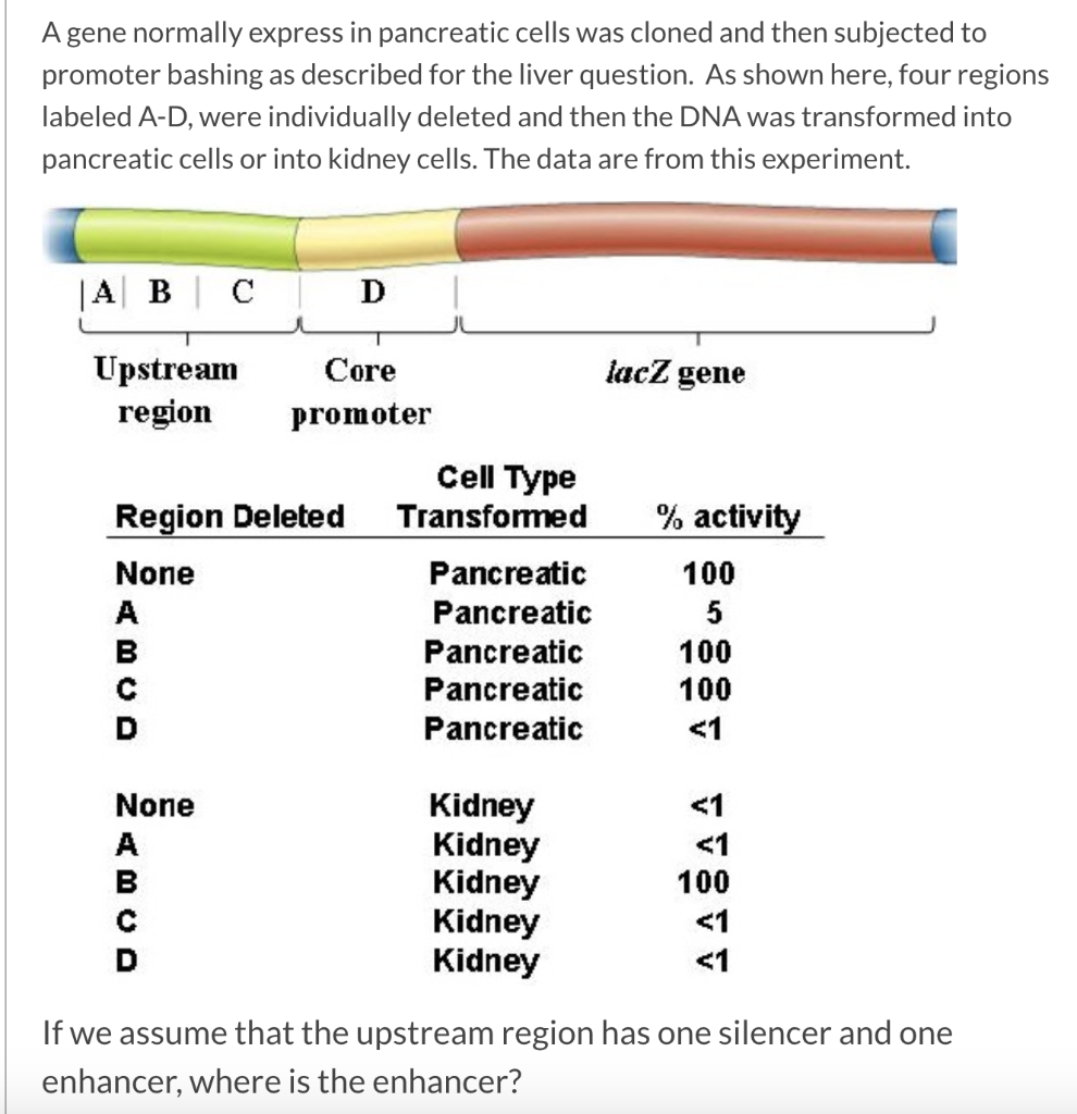 Solved Agene normally express in pancreatic cells was cloned | Chegg.com