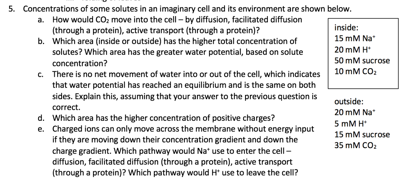 Concentrations of some solutes in an imaginary cell | Chegg.com