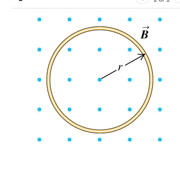 Solved A circular loop of wire with radius 0.0400 mm | Chegg.com