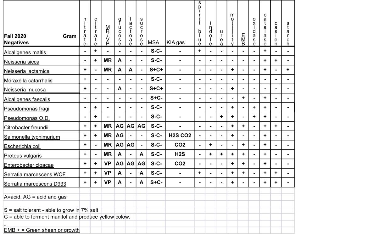 Flow charts are a useful tool for identifying unknown | Chegg.com