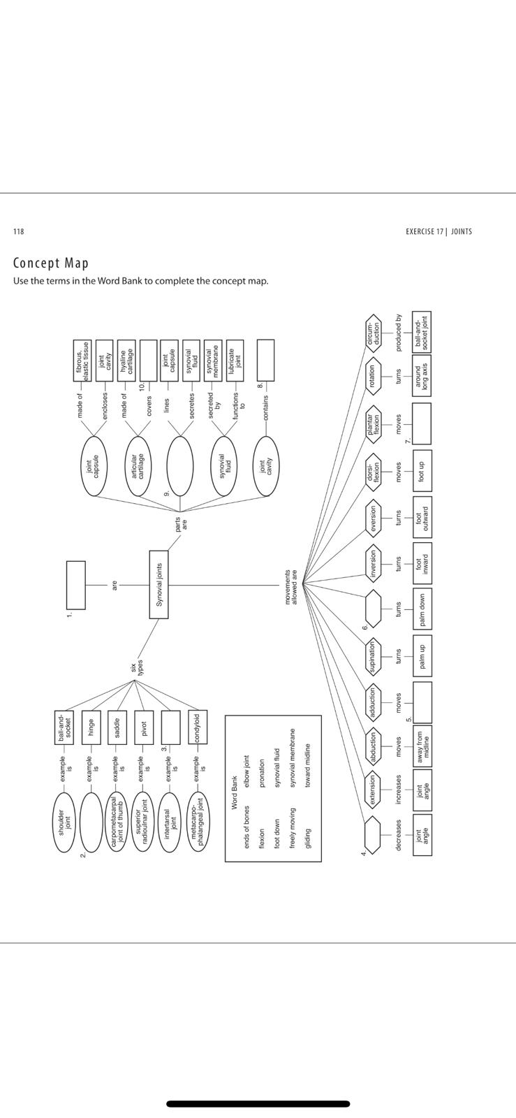Solved Concept Map Use the terms in the Word Bank to | Chegg.com
