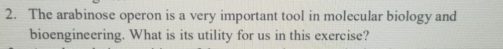 2. The arabinose operon is a very important tool in | Chegg.com