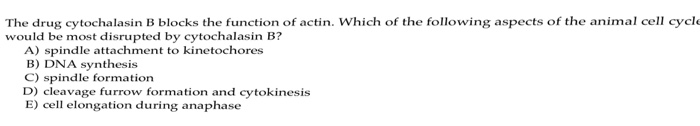 Solved The drug cytochalasin B blocks the function of actin. | Chegg.com