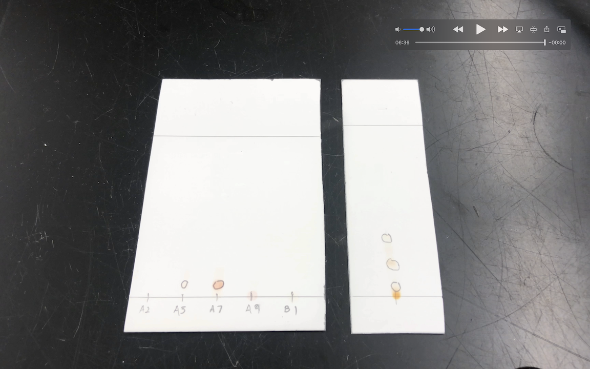•explain the elution sequence of the compounds and | Chegg.com