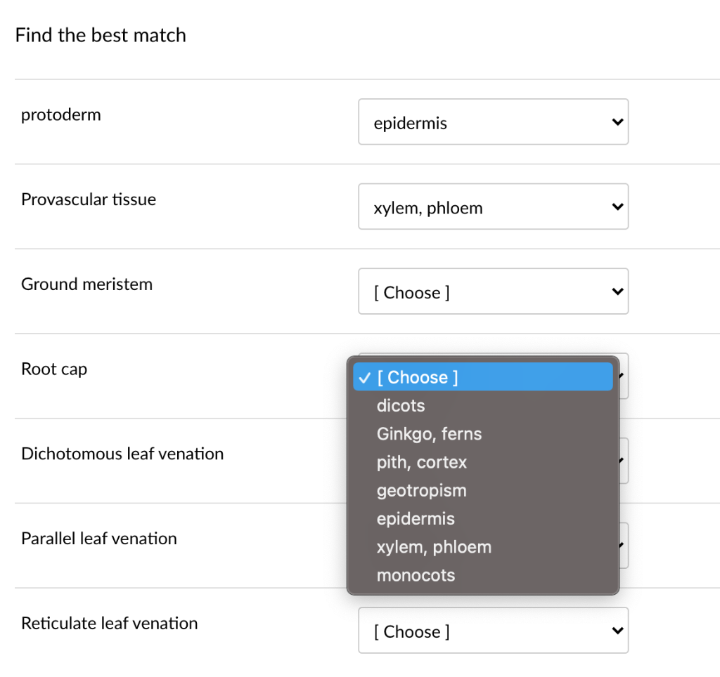 Solved Find the best match protoderm epidermis Provascular | Chegg.com