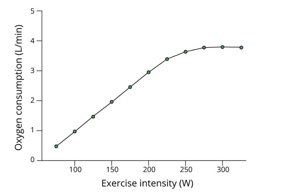 Solved Maximal oxygen consumption test In the graph below, | Chegg.com