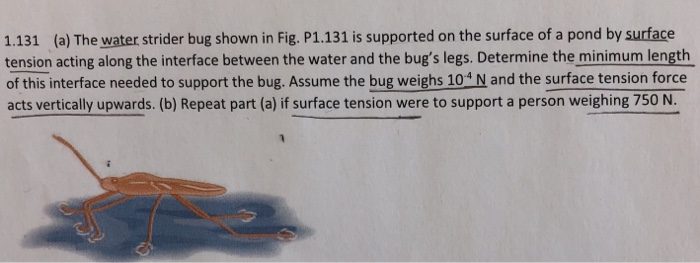 Solved 1.131 (a) The water strider bug shown in Fig. P1.131 | Chegg.com