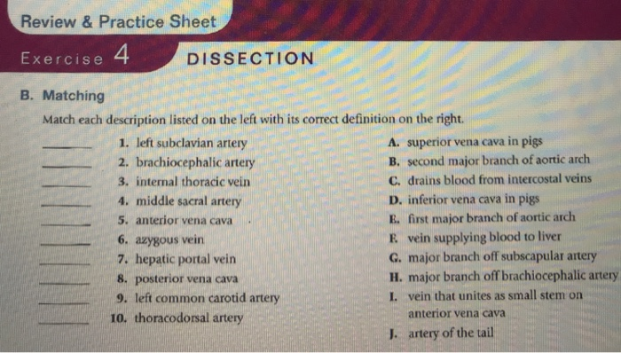 Solved Review & Practice Sheet Exercise B. Matching 4 | Chegg.com