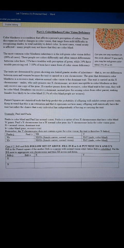 PART 2: Eye Color: Genotype and Phenotype Polygenic | Chegg.com