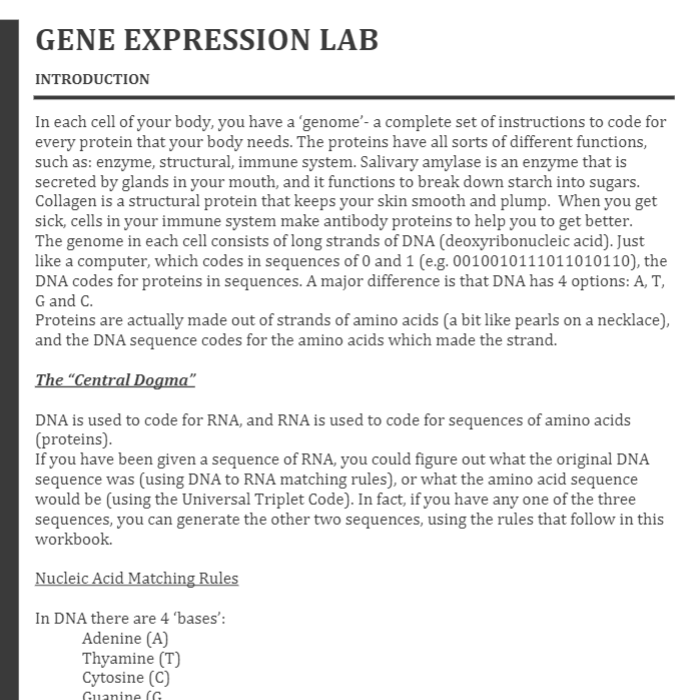 Solved GENE EXPRESSION LAB INTRODUCTION In each cell of your | Chegg.com
