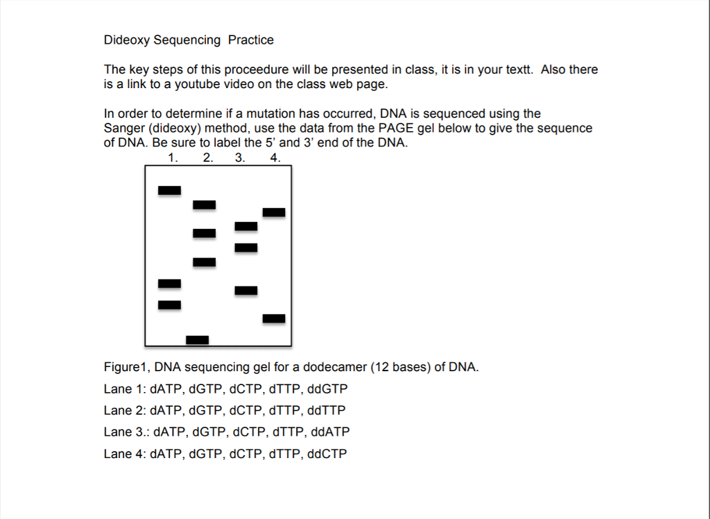 Solved Dideoxy Sequencing Practice The key steps of this | Chegg.com