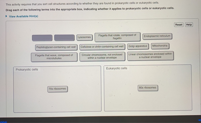 Solved This activity requires that you sort cell structures | Chegg.com