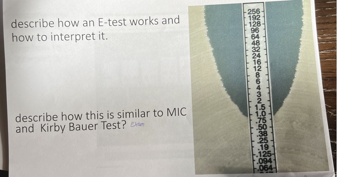 Solved describe how an E-test works andhow to interpret | Chegg.com
