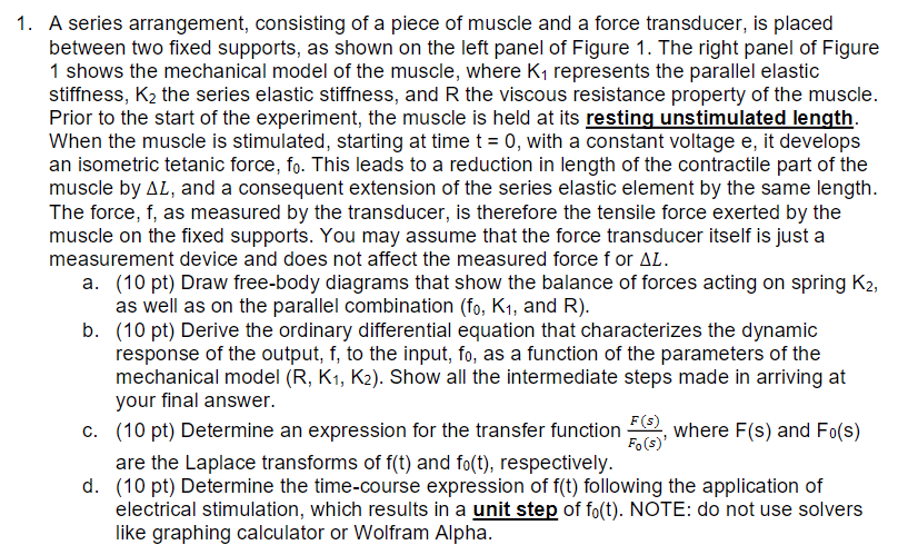 Solved A series arrangement, consisting of a piece of muscle | Chegg.com