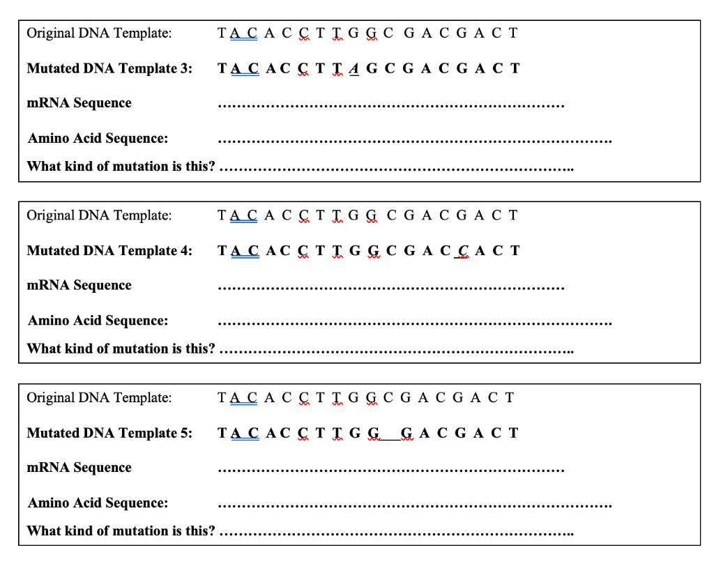 Solved Original DNA Template: ТА СА Сcт3 GAC GACT Mutated | Chegg.com