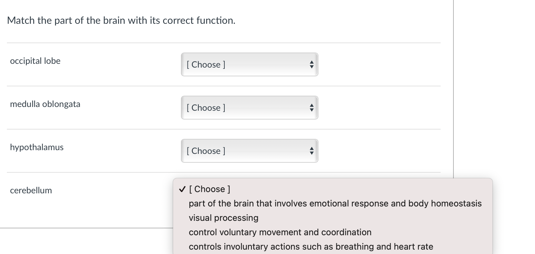 Solved Match the part of the brain with its correct | Chegg.com