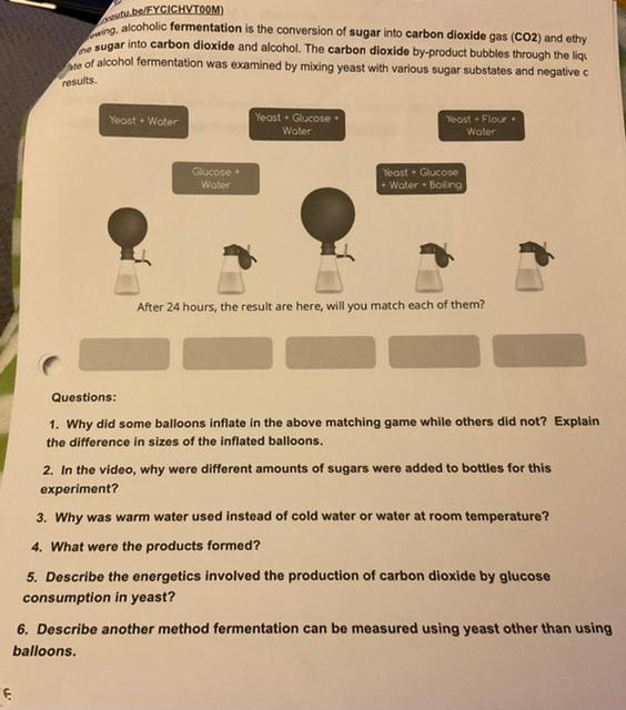 Solved Activity Vi: Fermentation Fermentation is another | Chegg.com