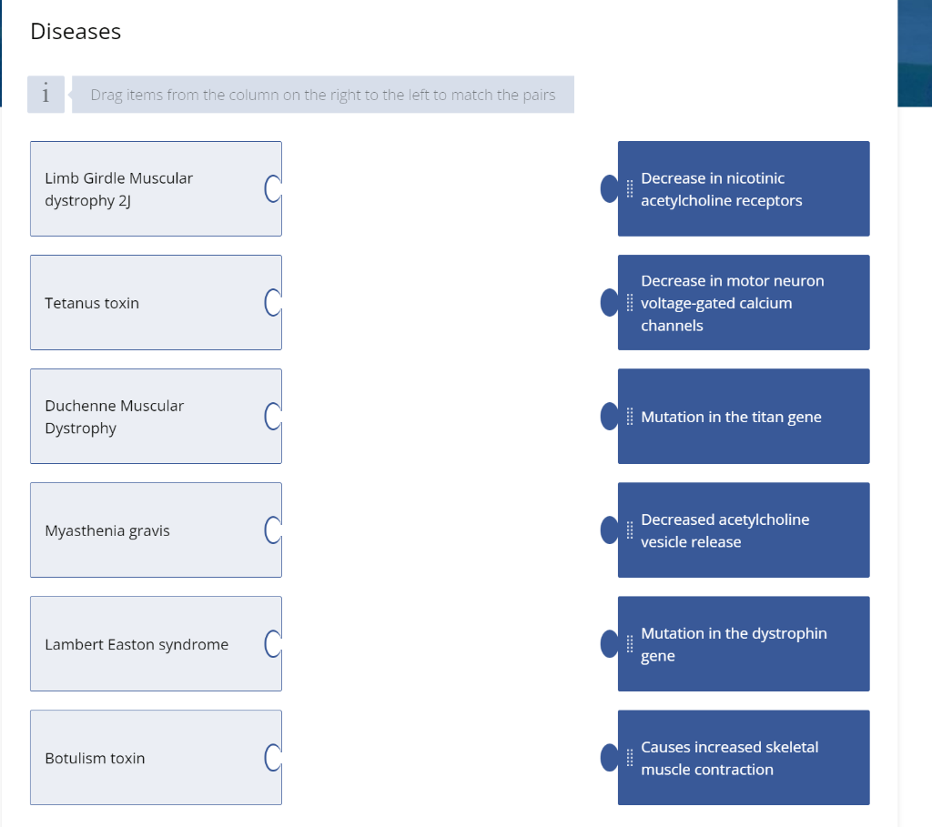 Solved Drag items from the column on the right to the left | Chegg.com