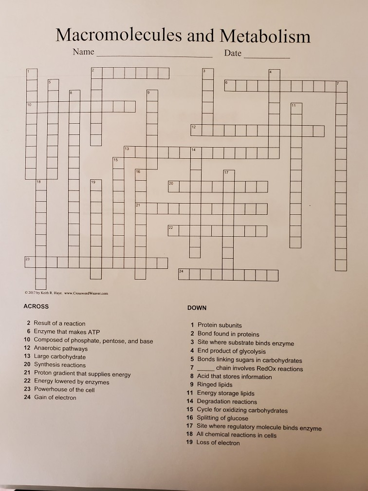 Solved Macromolecules and Metabolism Name Date 2017 by Keith | Chegg.com