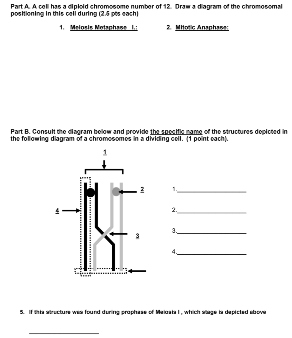 Solved by an EXPERT Part A. ﻿A cell has a diploid chromosome number of ...